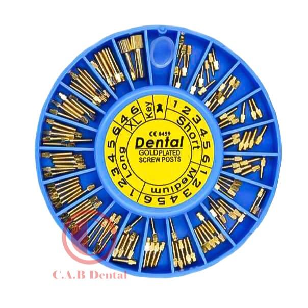 Jual Dental Pin Screw Dental Post Pasak Gigi Dental Pin Screw - Kota ...