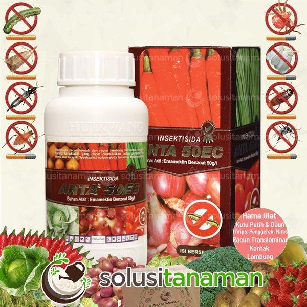 Jual Pestisida Anta 200ml Obat Insektisida Pembasmi Hama Ulat Tanaman ...
