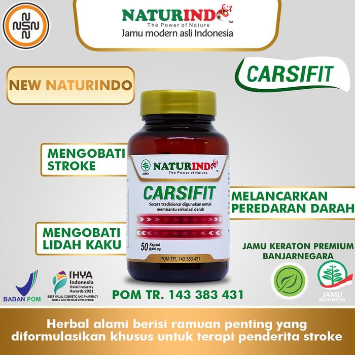 Jual Obat Stroke sirkulasi darah Struk Ringan Struk Berat Pengencer ...