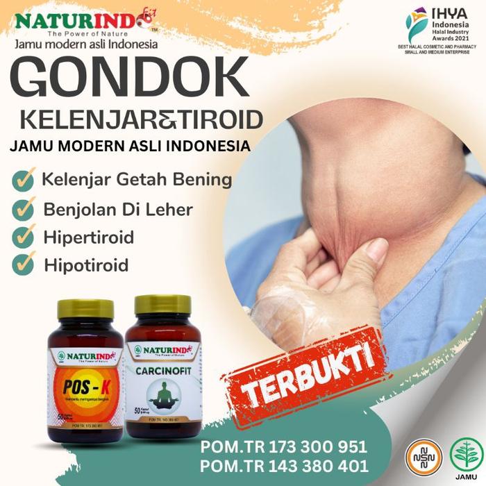 Jual Obat Gondok Hipertiroid Kelenjar Tiroid Benjolan Di Leher Herbal ...