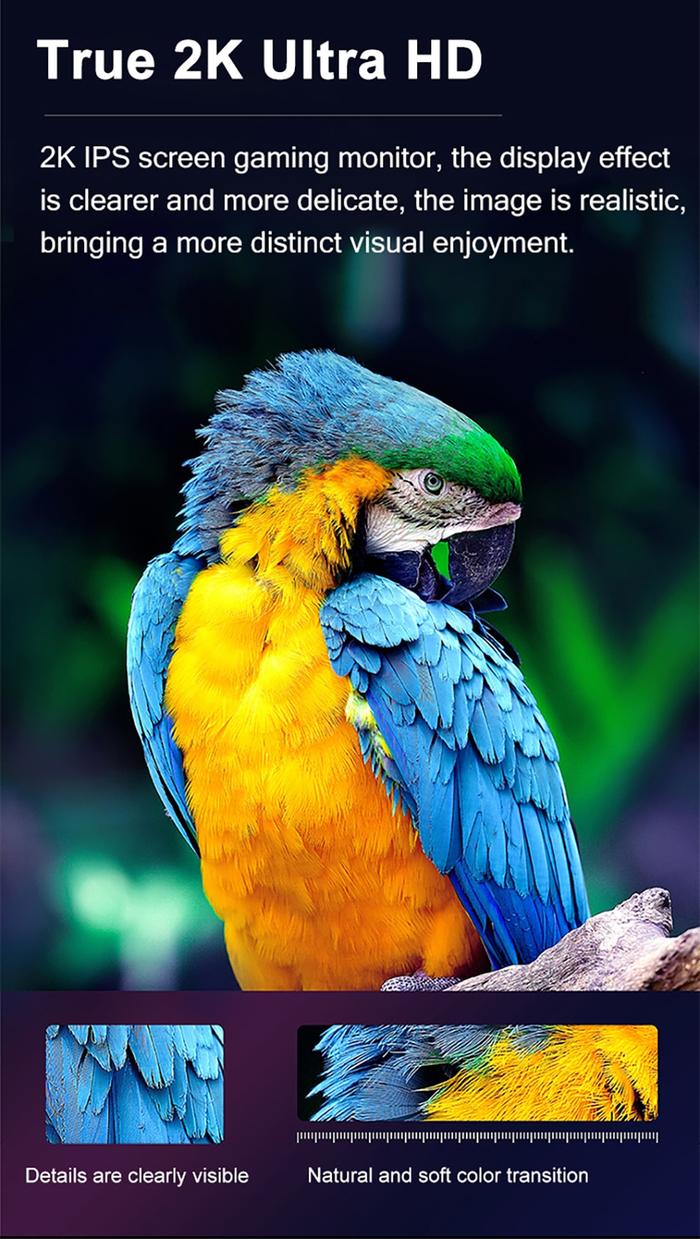 Jual 15.6/17.3 Inch 2K 165Hz Touchscreen Portable Monitor HDR 100%sRGB - Kota Surabaya ...