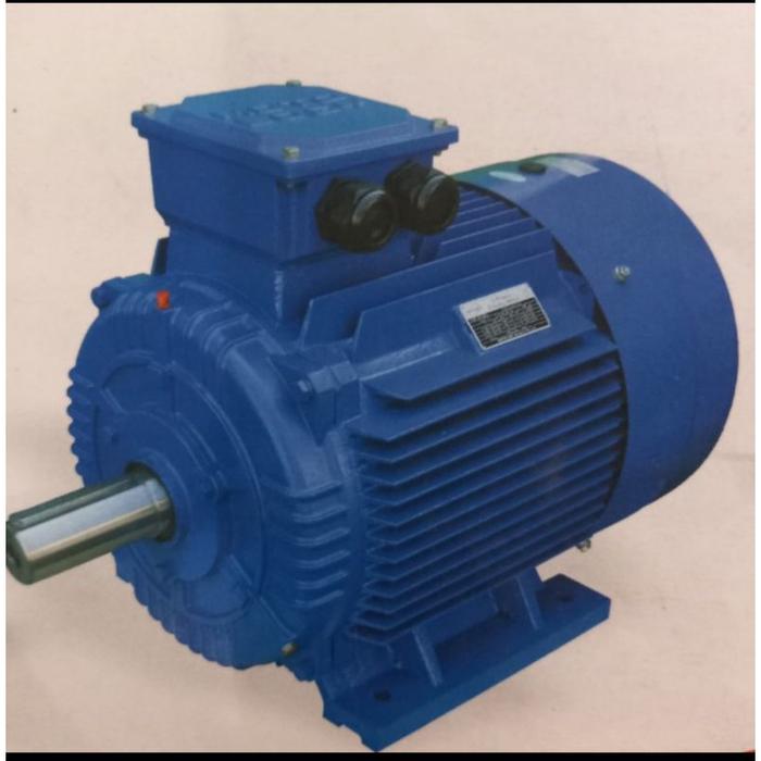 Jual Dinamo Elektromotor 7,5 Hp 7.5 Pk 3 Phase 3 Fase 1000 Rpm Motology - Kota Surabaya - Endah ...