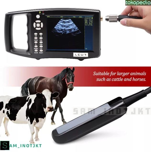 Jual New-Alat USG Hewan Ternak Tes Kehamilan Uji Kehamilan Sapi Babi ...