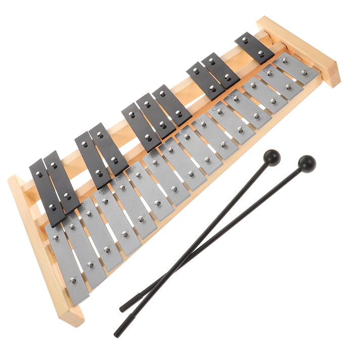 Jual Ss Professional Wooden Soprano Full Size Glockenspiel Xylophone Di ...
