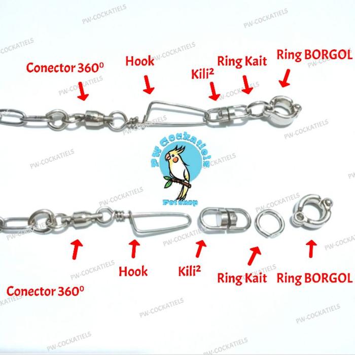 Jual Rantai Dan Ring Borgol Kaki Burung Kakatua Goffin Galah Lesser ...