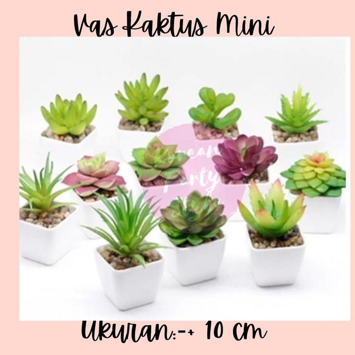 Jual HIASAN KAKTUS VAS KAKTUS MINI HIAS MEJA POT TANAMAN HIASAN ...