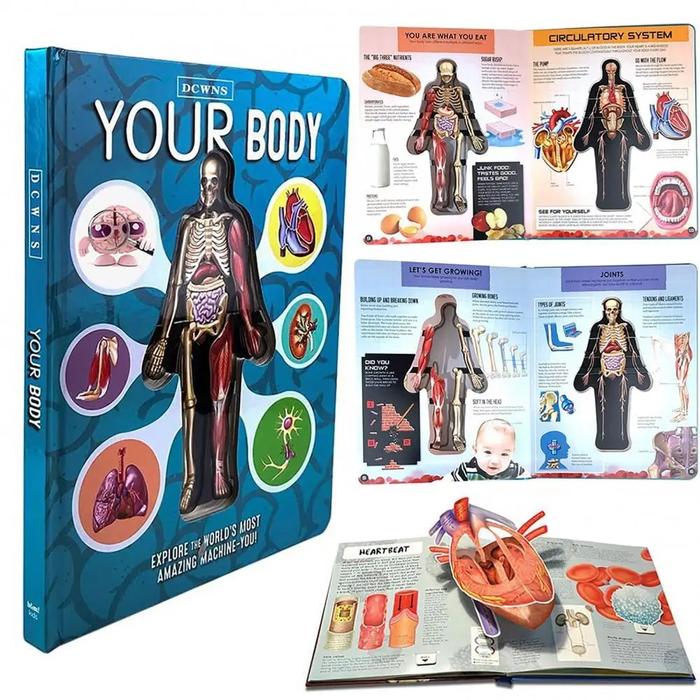 Jual Inside Out Human Body Structure 3D Picture Anatomy English Popula ...