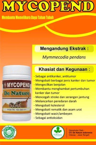 Jual OBAT ANTI KANKER ANTI TUMOR MENGATASI BENJOLAN DAN STROKE HERBAL ...