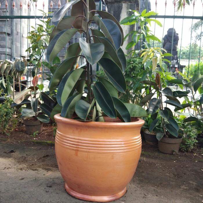 Jual Pot tanaman besar daritanah liat diameter 60 cm warna terakota ...