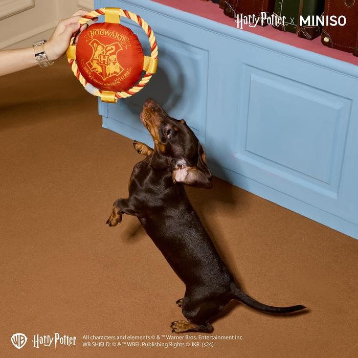 Jual Miniso x Harry Potter Pet Vibration Toy Monster Book Mainan Getar ...