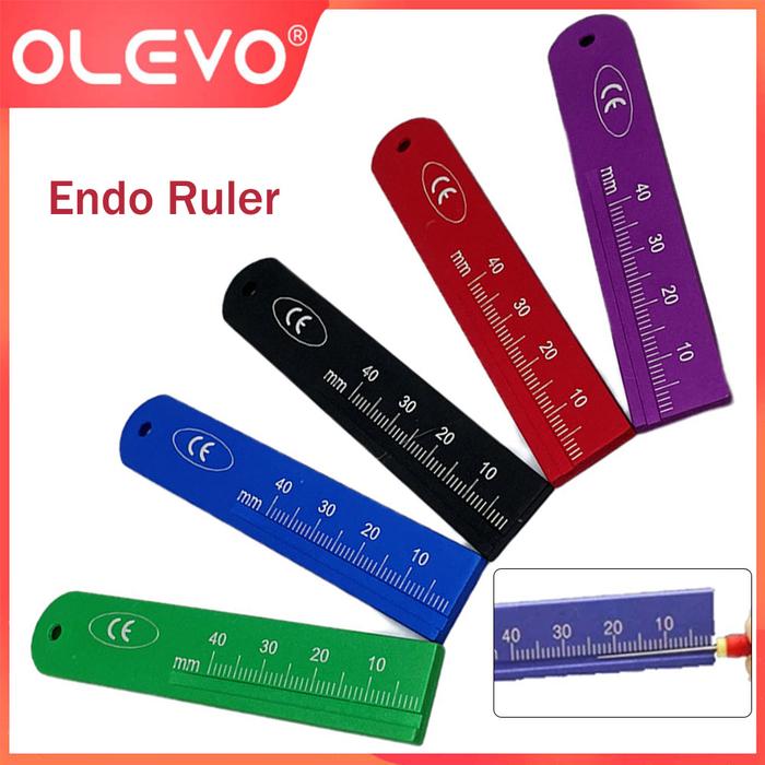 Jual OLEVO 1 Pc Dental Instruments Endo Ruler Span Measure Scale Root ...