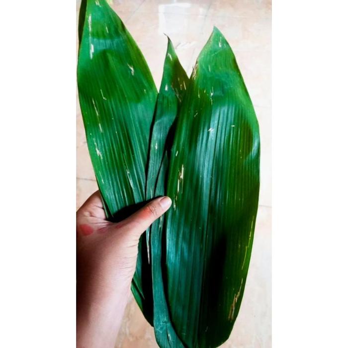Jual UTR DAUN BAKCANG/DAUNBAMBU SEGAR /PEMBUNGKUS BAKCANG / DAUN BAMBU ...