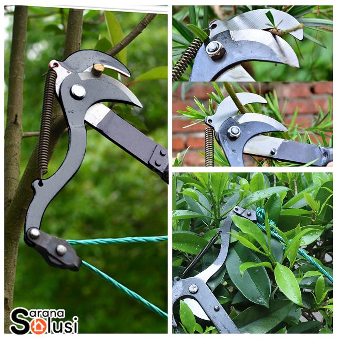 Promo Gunting Ranting Dahan Pohon Tinggi Pruning dengan Tali 1.5M ...