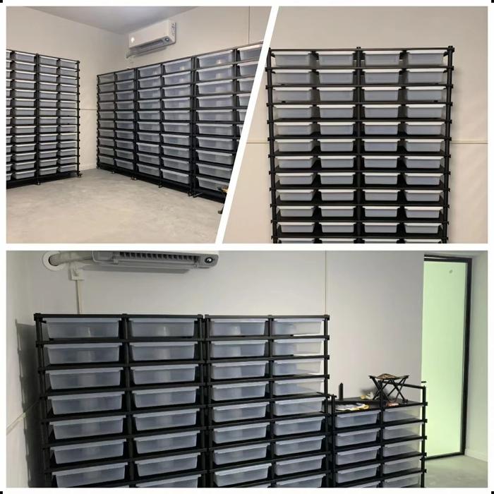 Jual Flat Packed Reptile Snake Rack Snake Breeding Rack For Pet Cages ...