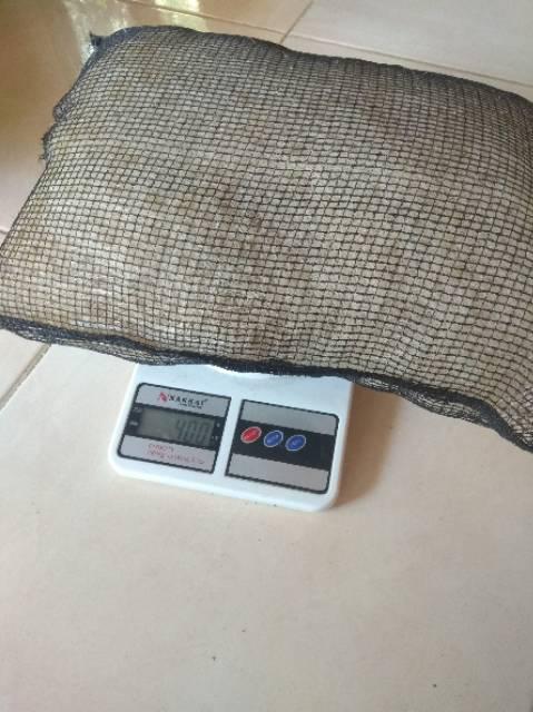 Jual jaring bungkus waring water filter koi dan aquarium teylwi 5371nh ...