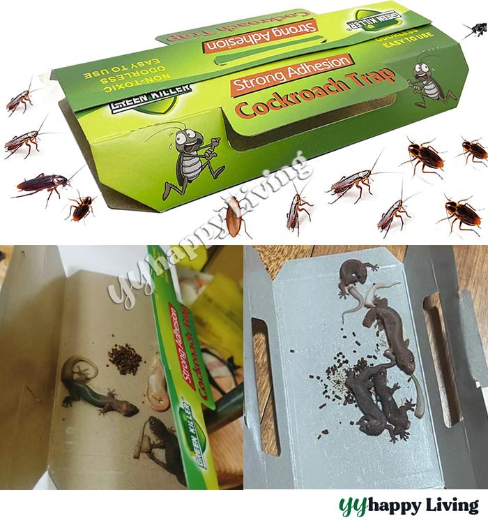 Jual [ 10 Traps (1BOX) *Lizard Trap & Cockroach Trap* With Baits (Cicak ...