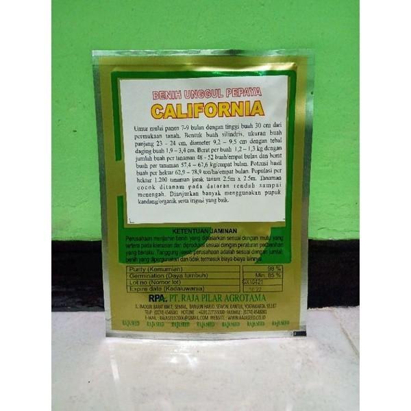 Jual JT-2024 TERBAIK BENIH PEPAYA CALIFORNIA BENIH KATES RAJA SEED ...