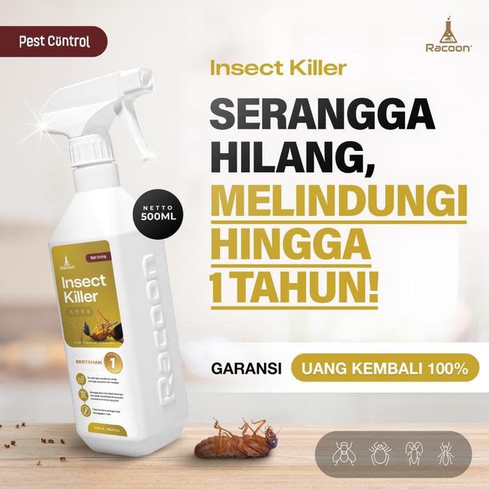 Jual DLG_ Insect Killer Spray RACOON / Spray Anti Kecoa & Semut Basmi ...