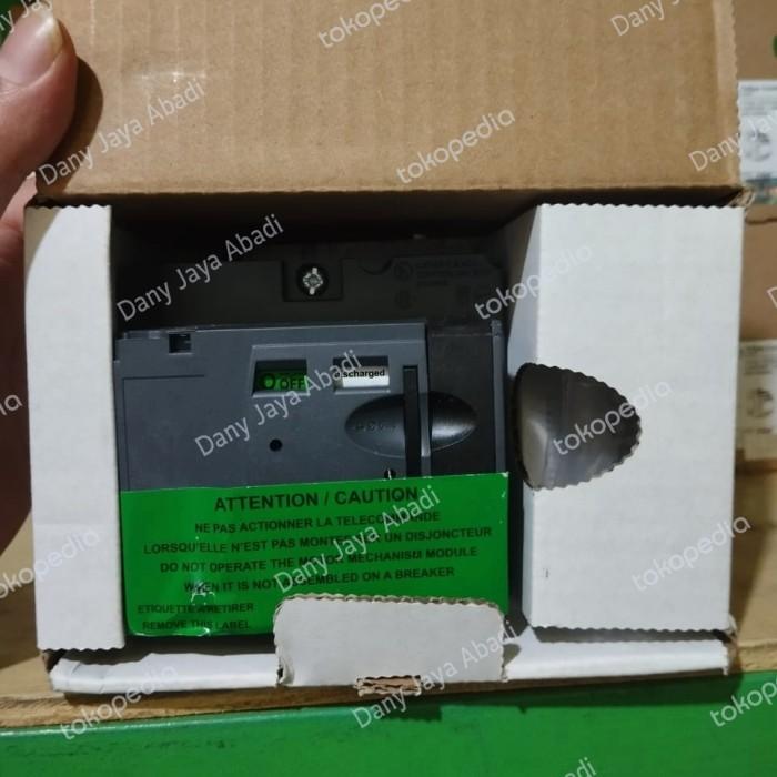 Jual motorized mccb schneider cvs nsx 250a LV431541 220v MT250 Best ...