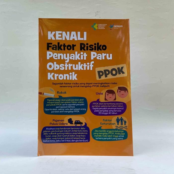 Jual Poster Kesehatan, Poster Faktor Risiko PPOK, Poster PPOK, Poster ...