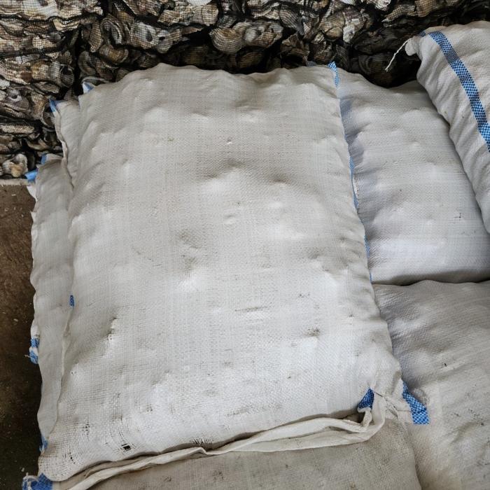 Jual Media Filter Batu Apung Pumice Stone Karungan Isi 10 KG - Kota ...