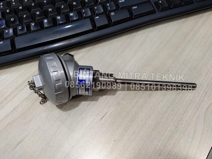 Jual THERMOCOUPEL TYPE K PANJANG SENSOR 25CM DRAT 1/2" DIA SENSOR 8MM ...