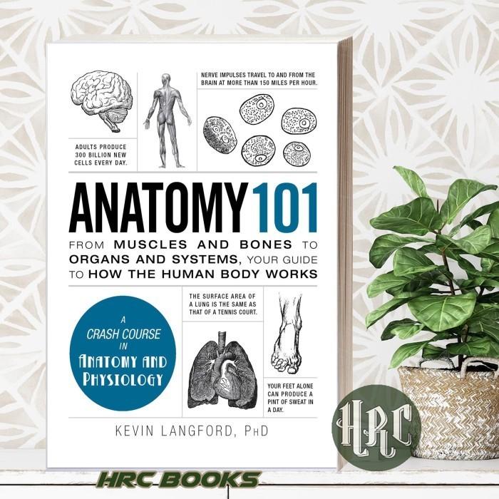 Jual Anatomy 101: From Muscles and Bones to Organs and Systems, Your ...