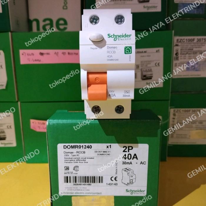 Jual ELCB DOMAE 2P 40A 30MA DOMR01240 ELCB/RCCB 2P 40A SCHNEIDER ...