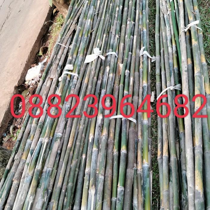 Jual Bambu Tiang Bendera Umbul Umbul Paketan Isi 30 Batang Promo - Kota ...