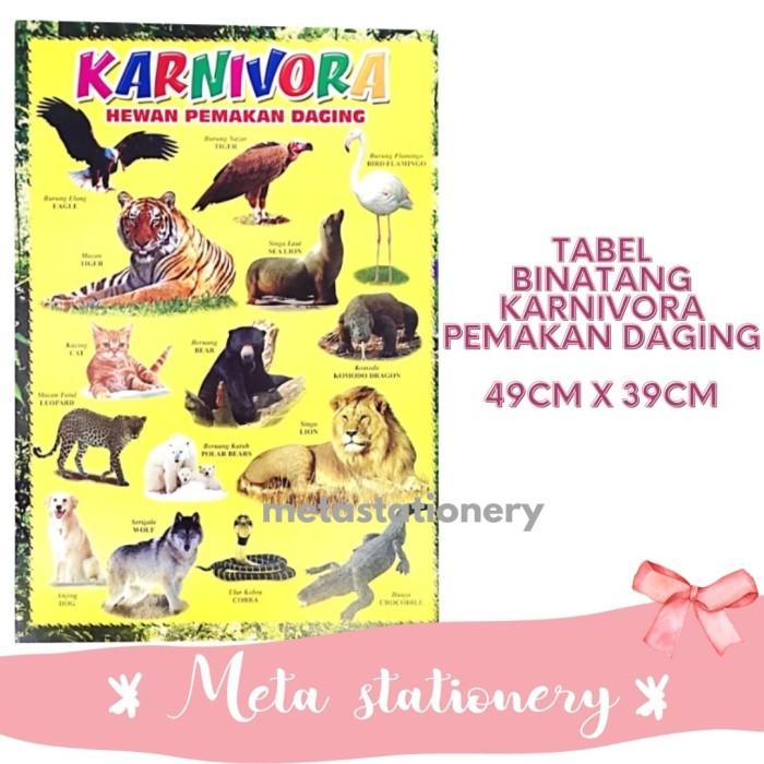 Jual Poster Edukasi Anak ./ Poster Tabel Hewan Karnivora ( Pemakan ...