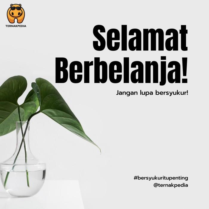 Jual Probiotik Serbuk Ternak BIO EM+ 1 Kg Ruminant - probiotik sapi ...