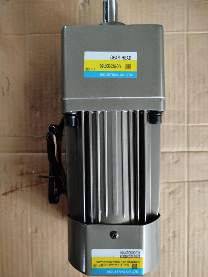 Jual AC motor gearbox 380V 300W Variable 3 Phase "ANTSGEAR" - 1:5 ...