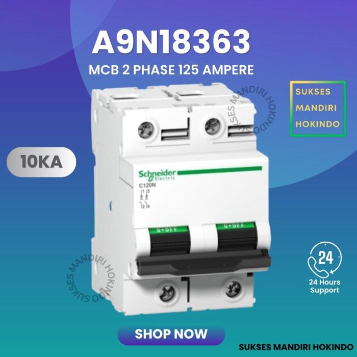 Jual MCB 2 Phase 125 Ampere C120N 10kA Schneider 2P 125A Original SNI ...