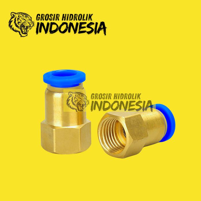 Jual MPCF 10 - 01 FITTING LURUS FEMALE PNEUMATIC SLIP LOCK SELANG 10MM ...