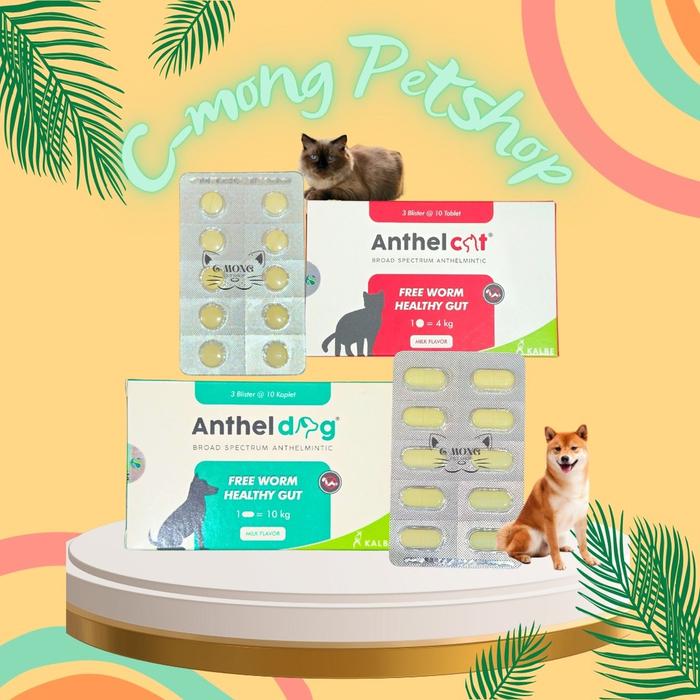 Jual Anthel Cat / Dog (1 TABLET) Obat Cacing Kucing / Anjing - Cat ...
