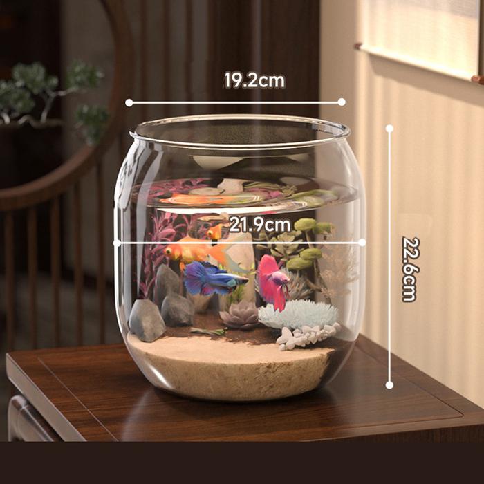 Promo Aquarium Bulat Kaca Mini Aquarium Toples Bulat Ikan Hias Aquarium ...