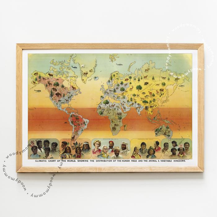 Jual Vintage Poster Geografi - Geography Educational Wall Art ...