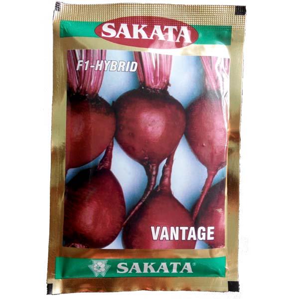 Jual Sakata Seed Red Beet F1 Hybrid Vantage - Benih beet merah- 10 gram ...