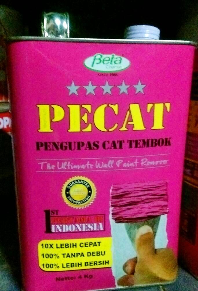 Jual PECAT 4KG / PERONTOK CAT TEMBOK / PENGELUPAS PENGHAPUS PENGUPAS ...