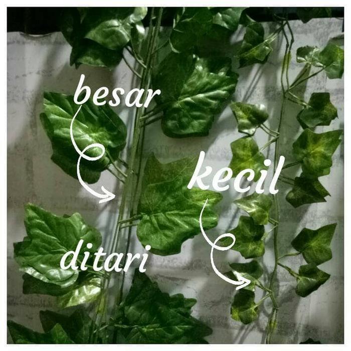 Jual DAUN RAMBAT BESAR ANGGUR IVY DAUN SULUR BUNGA PLASTIK ARTIFICIAL PALS - Jakarta Barat ...