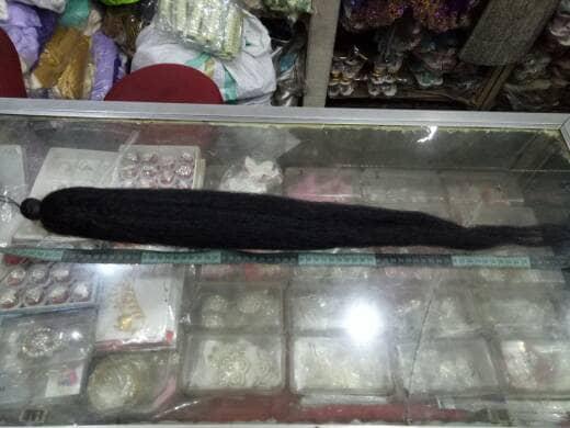 Jual cemara rambut bali - Jakarta Timur - H. HARUN. A | Tokopedia