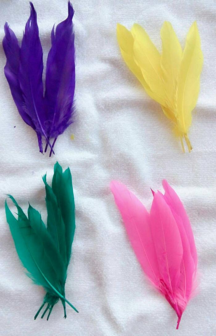 Jual Bulu ayam warna warni/ bulu angsa/ 1 pack isi 50/ Rp 15.000 ...