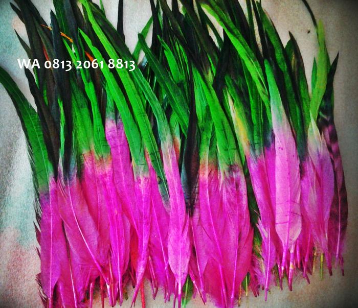 Jual Pink Hijau | Bulu Hias Kostum Tari Dance Pentas Seni Karnaval ...