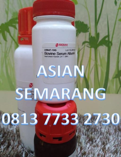 Jual Bovine Serum Albumin / BSA / Bovin Serum Albumin Sigma - Kota ...