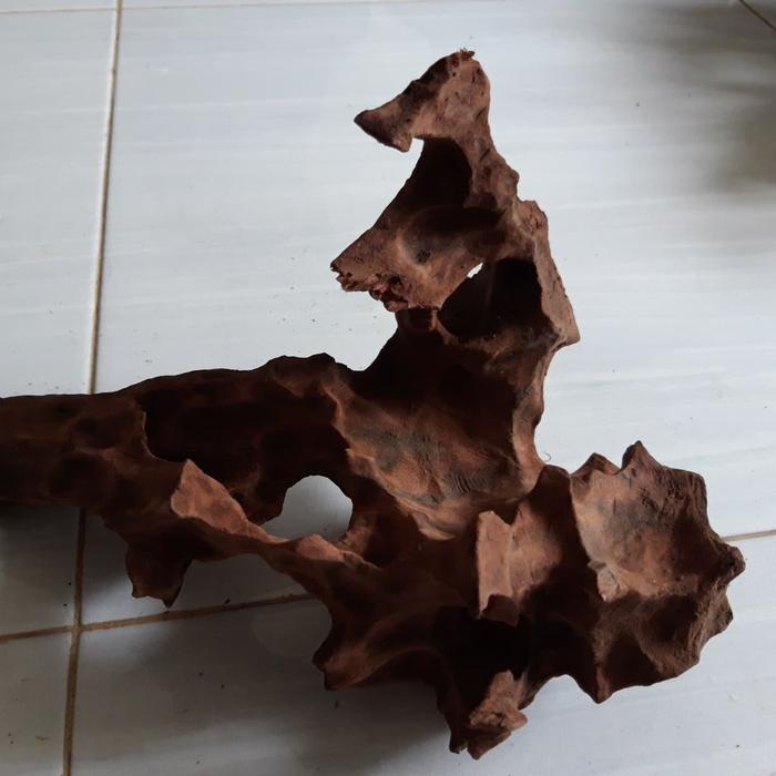 Jual kayu aquascape / kayu fosil - Kota Depok - Fauna aqua | Tokopedia