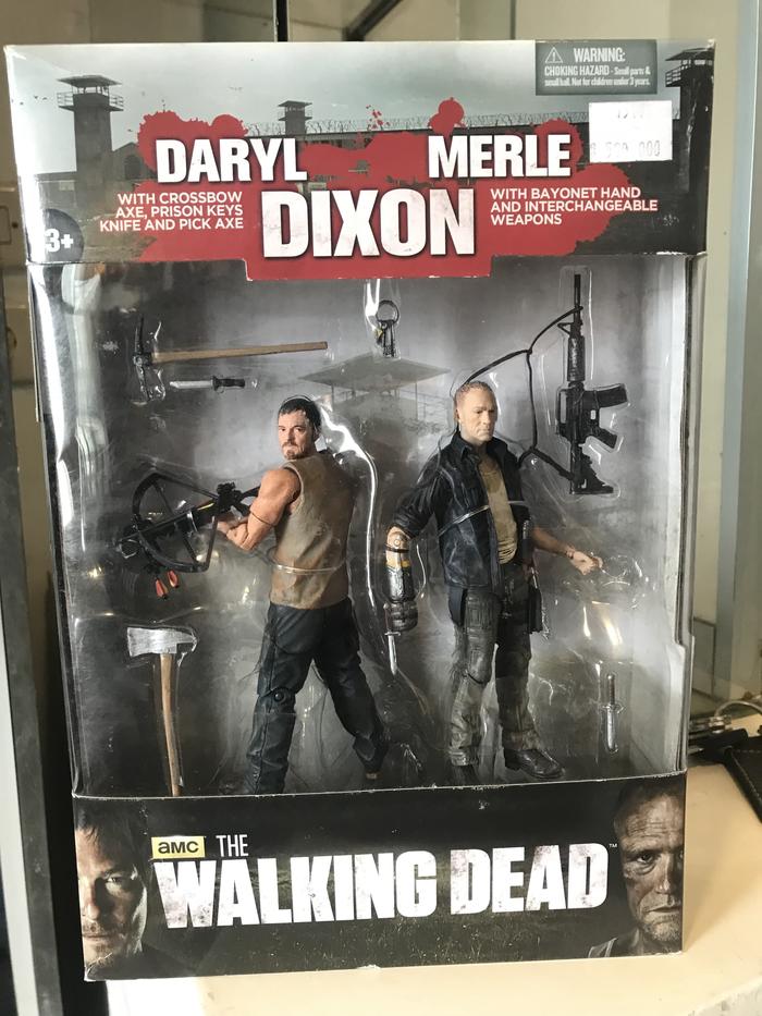 Walking Dead Daryl And Merle