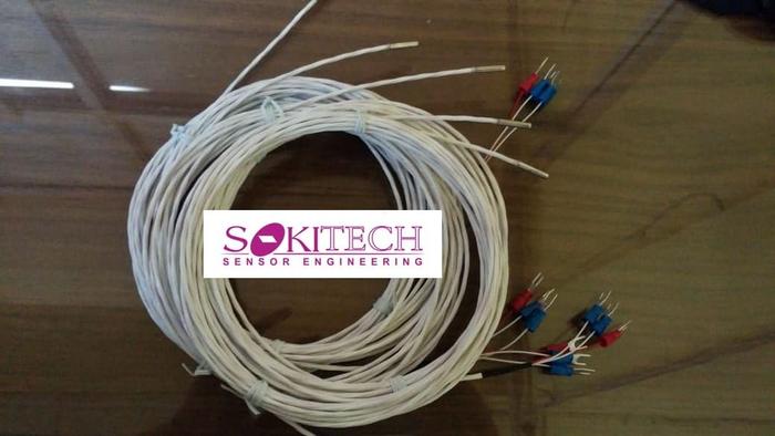 Jual RTD PT100 SLC 5 Single Element - Kab. Sidoarjo - Fine Level ...