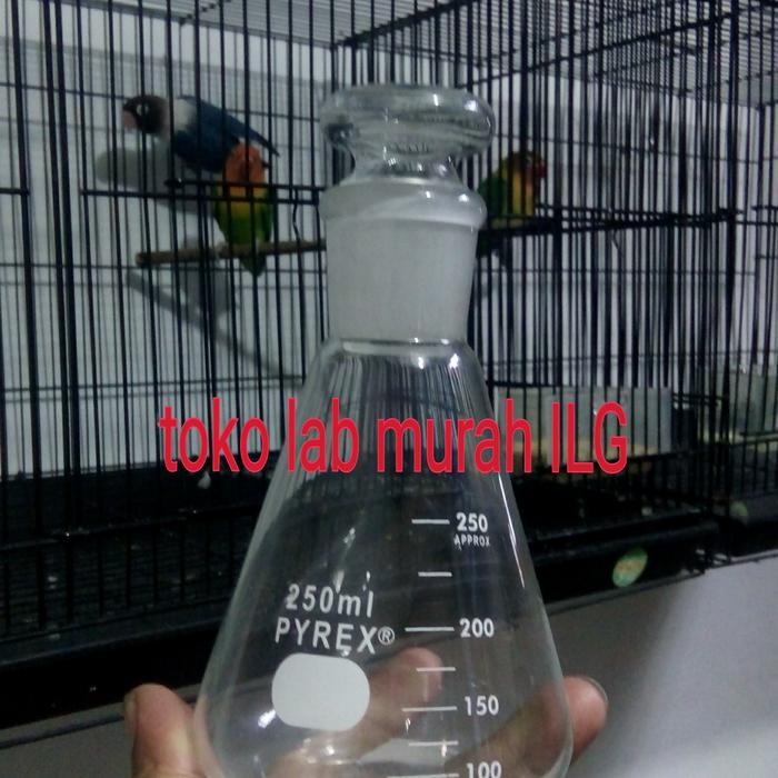 Jual Erlenmeyer tutup asah 250ml pyrex - Kab. Bandung Barat - TOKO ALAT ...