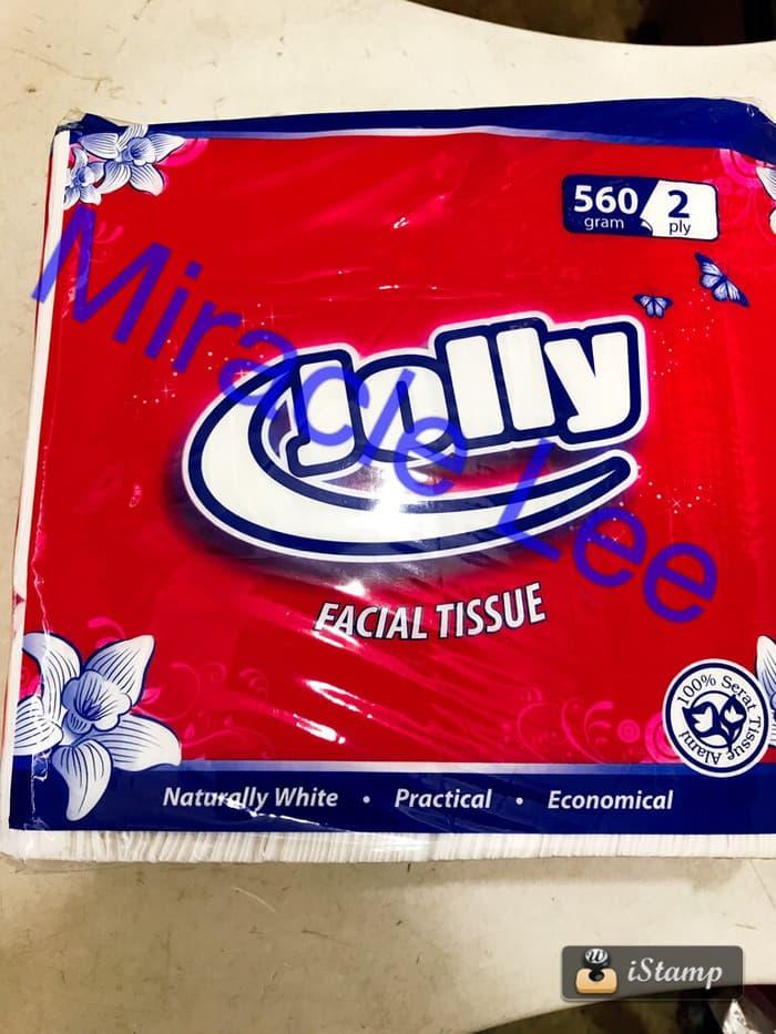 Jual Tissue Facial - Tissue Jolly 560 - Tissue Lembaran - Tissue 560 Gr ...
