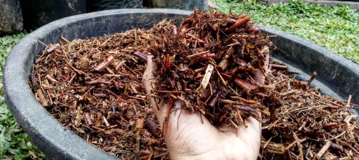 Jual andam media tanam potongan akar pakis, kayu, bambu - Kab. Bandung ...